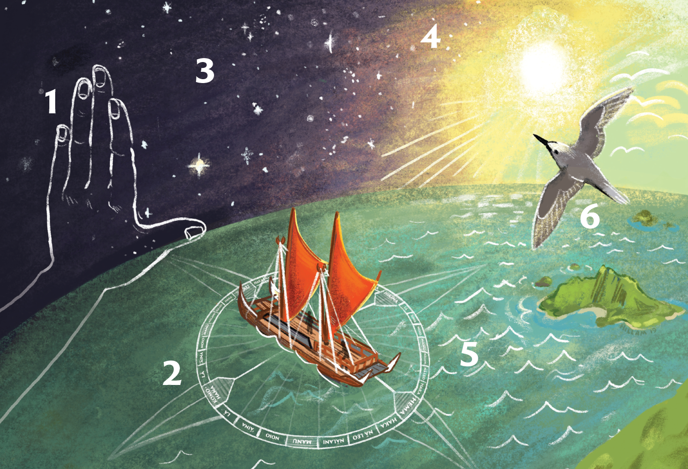 Unit Study: Ancient Polynesian Wayfinding — Let Mama Bee
