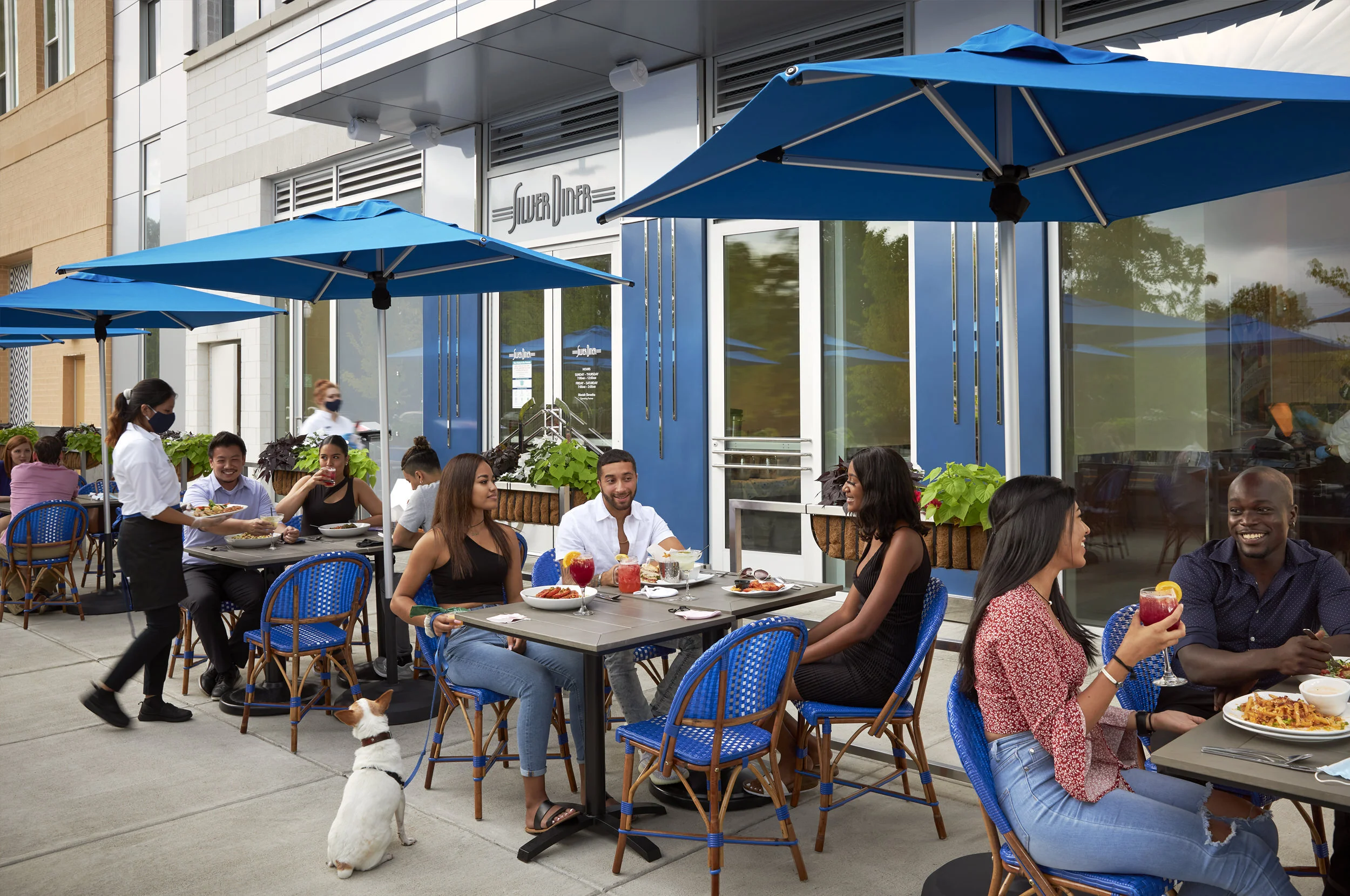 Alexandria, Virginia — Silver Diner