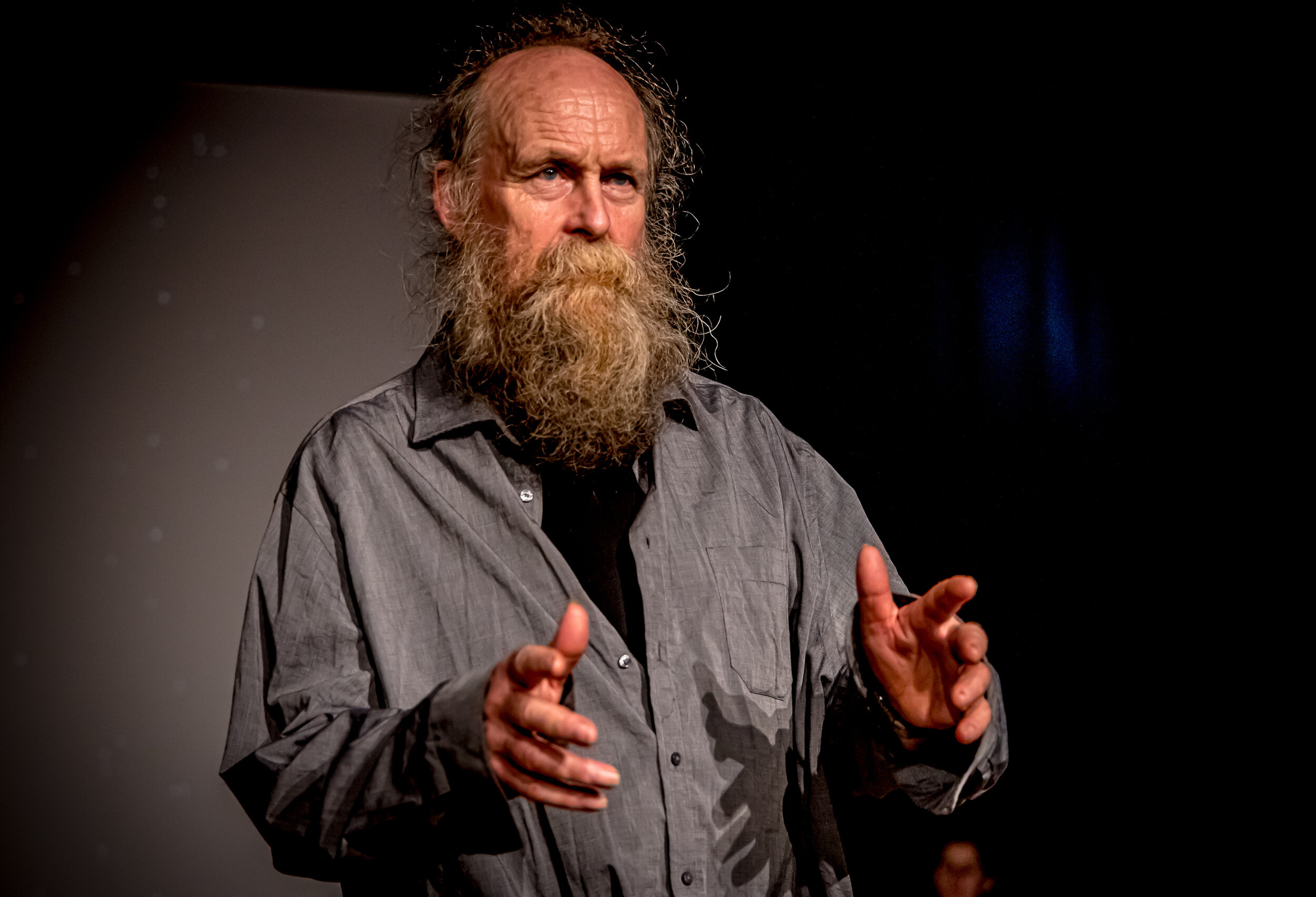 About — Paul Birch