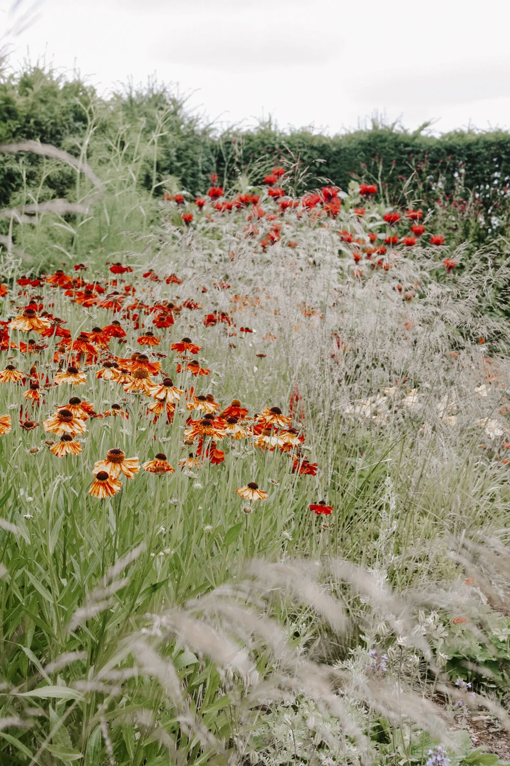 Landscape Floral and Garden Design — Lucy Hunter, The Flower Hunter