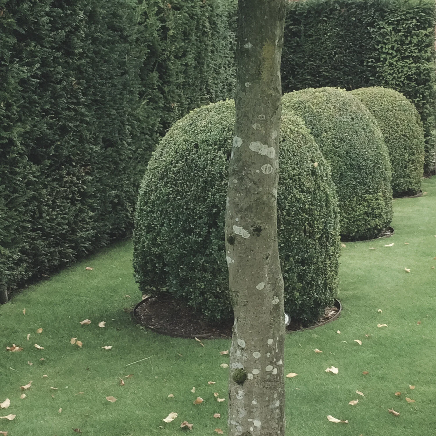 Landscape Floral and Garden Design — Lucy Hunter, The Flower Hunter