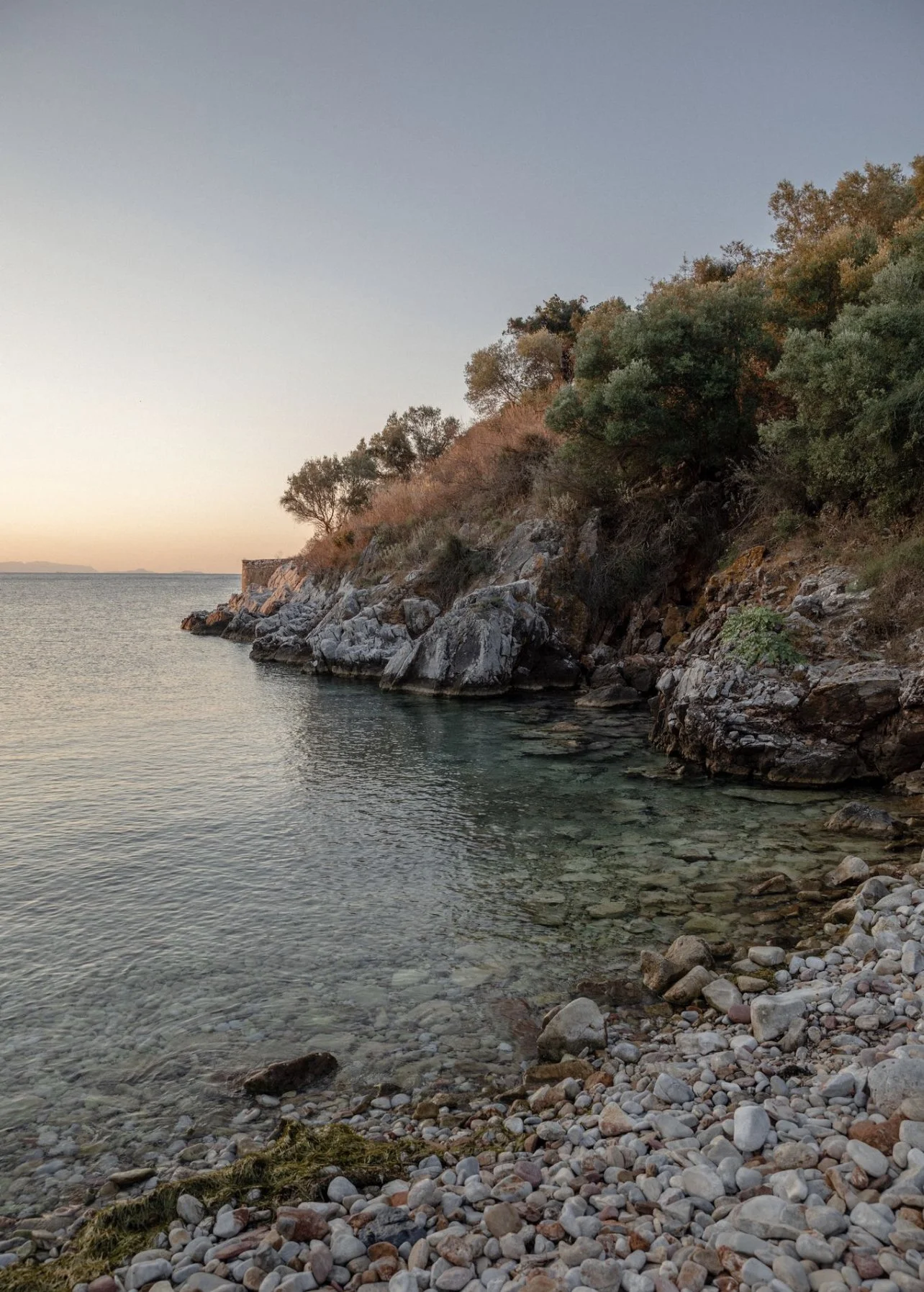 Published Books — Lucy Hunter, The Flower Hunter