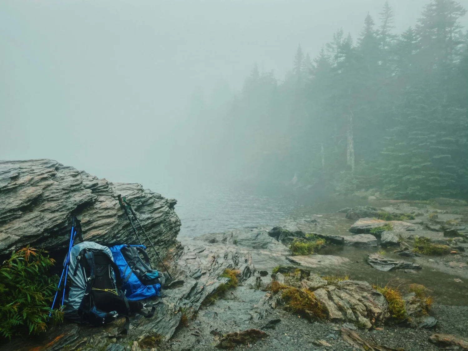 Ask a hiker - Long Trail, Maggie — USA Adventure Seeker