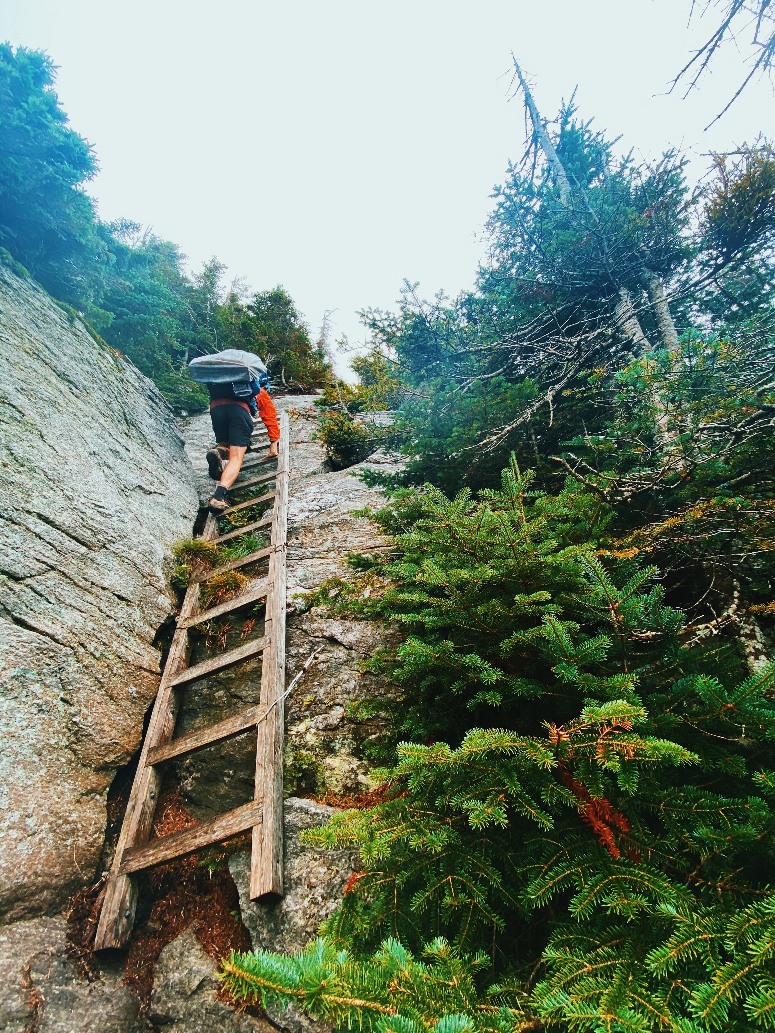 Ask a hiker - Long Trail, Maggie — USA Adventure Seeker