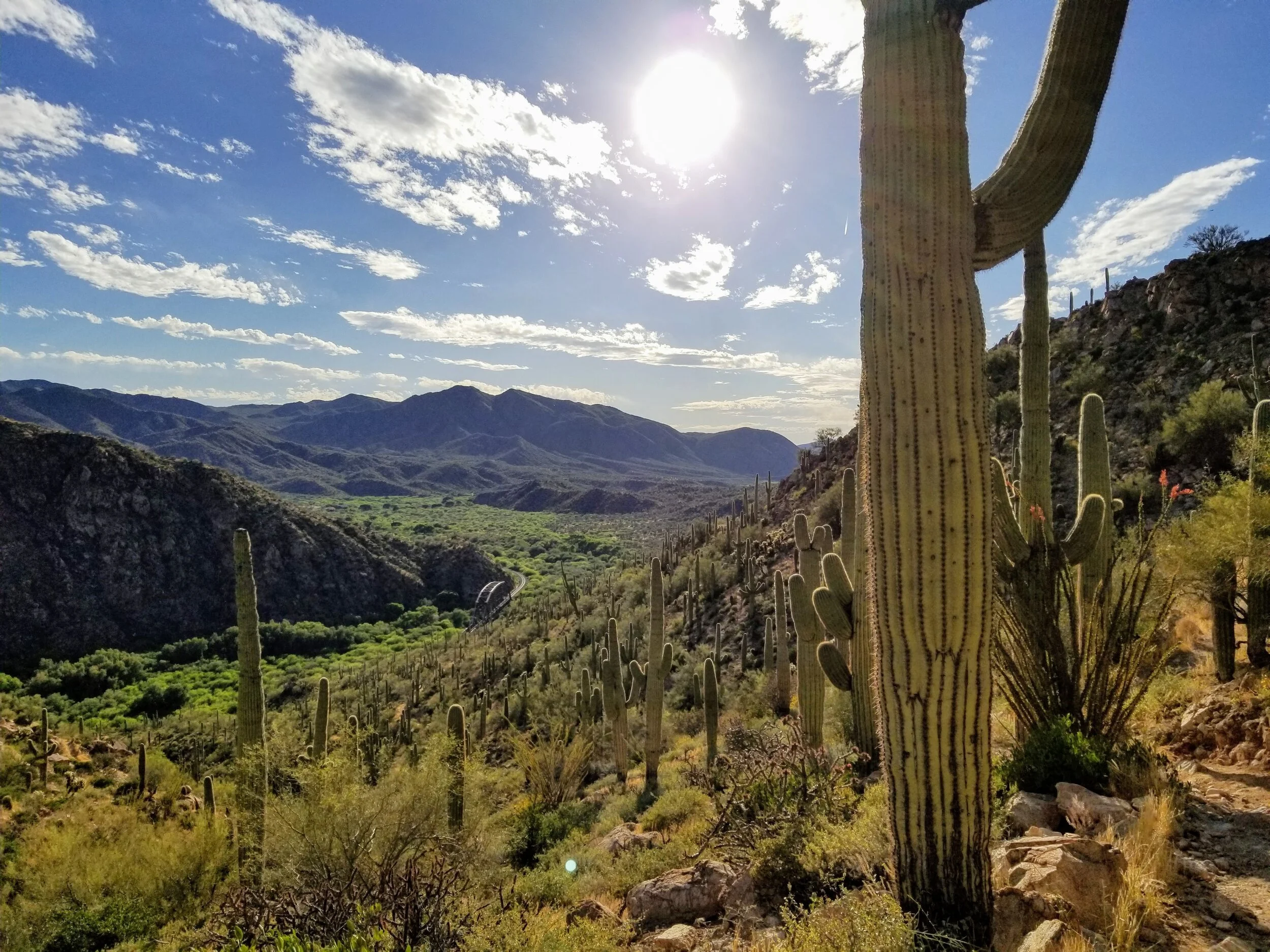 6-step checklist to plan your Arizona Trail thru-hike. — USA Adventure ...