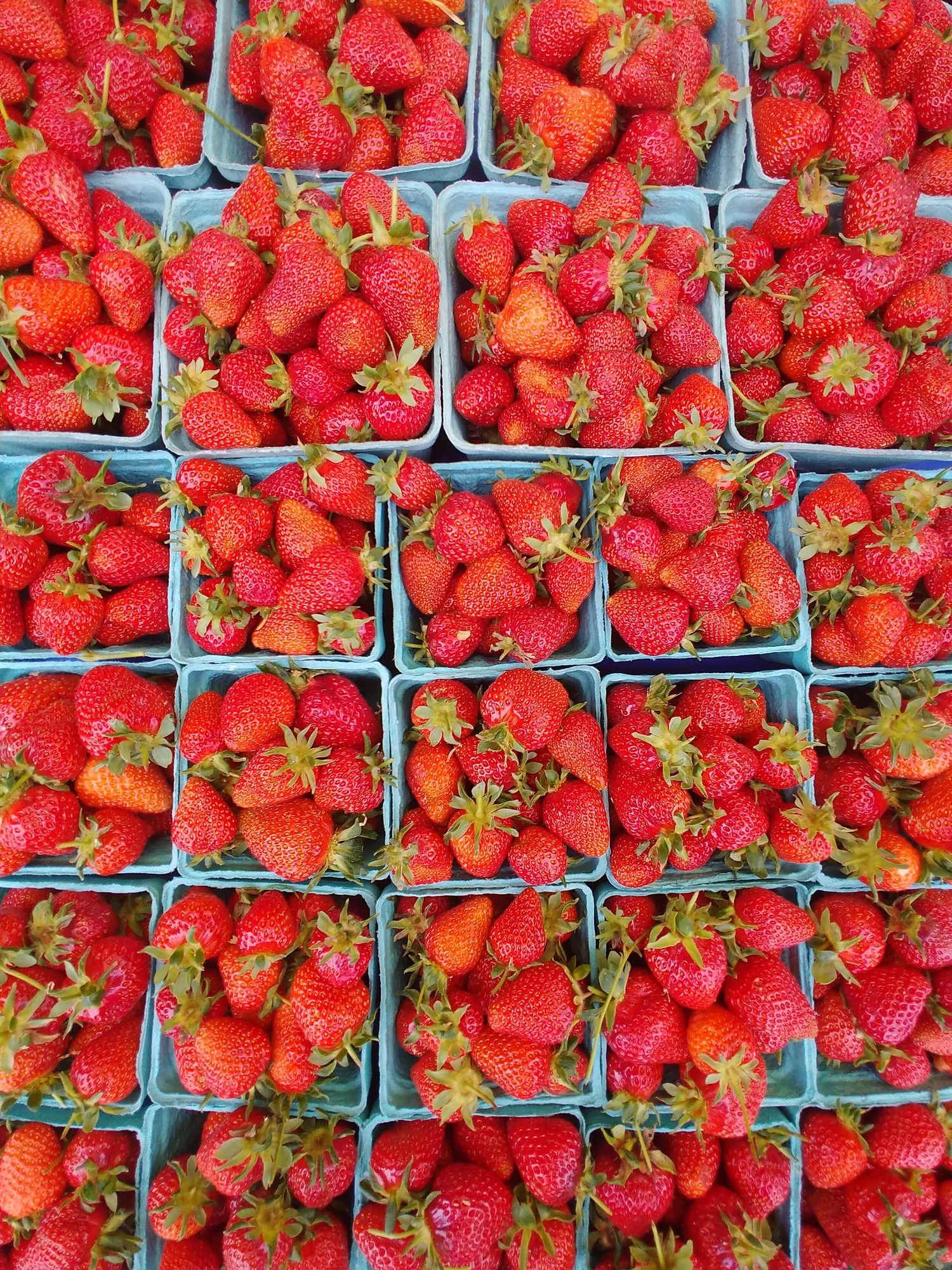 Food Access — Bellingham Farmers Market
