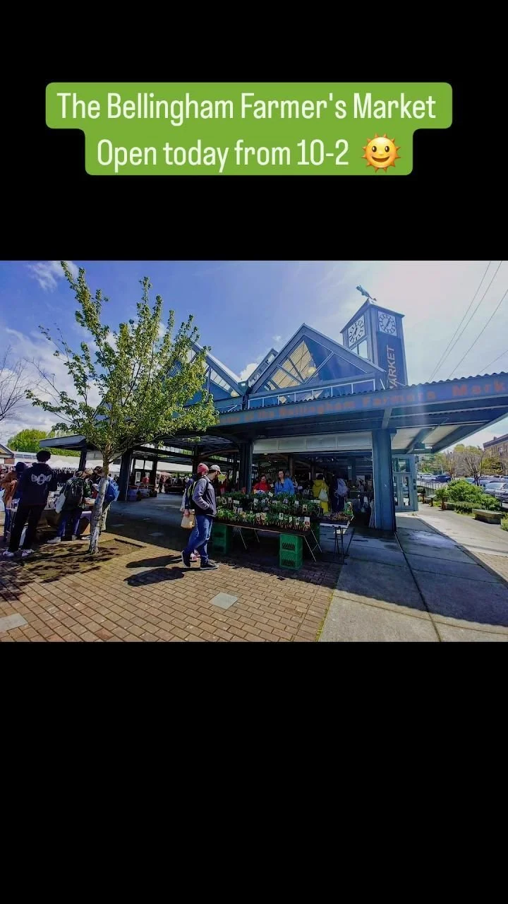 Bellingham Farmers Market