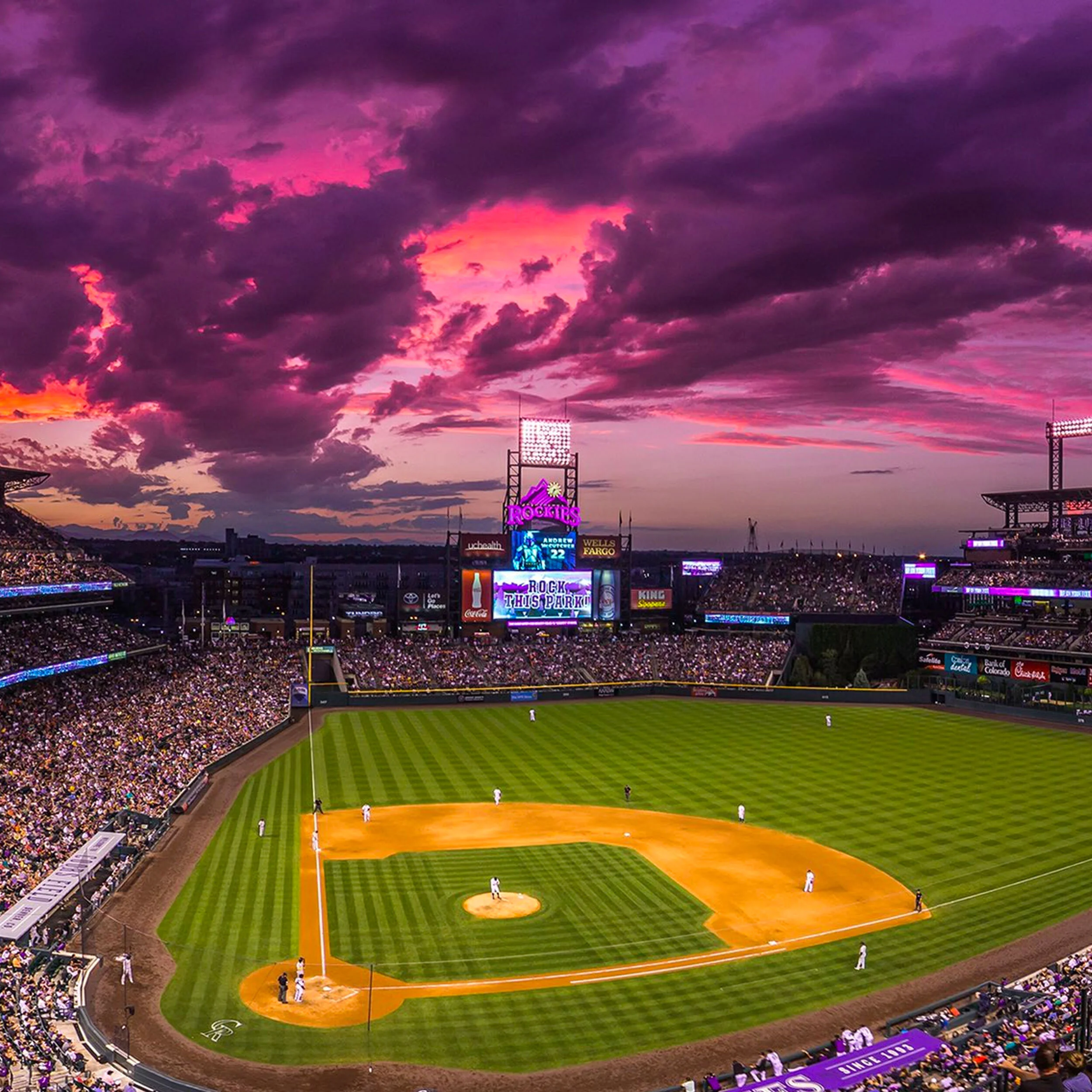 Contact — Apex Baseball