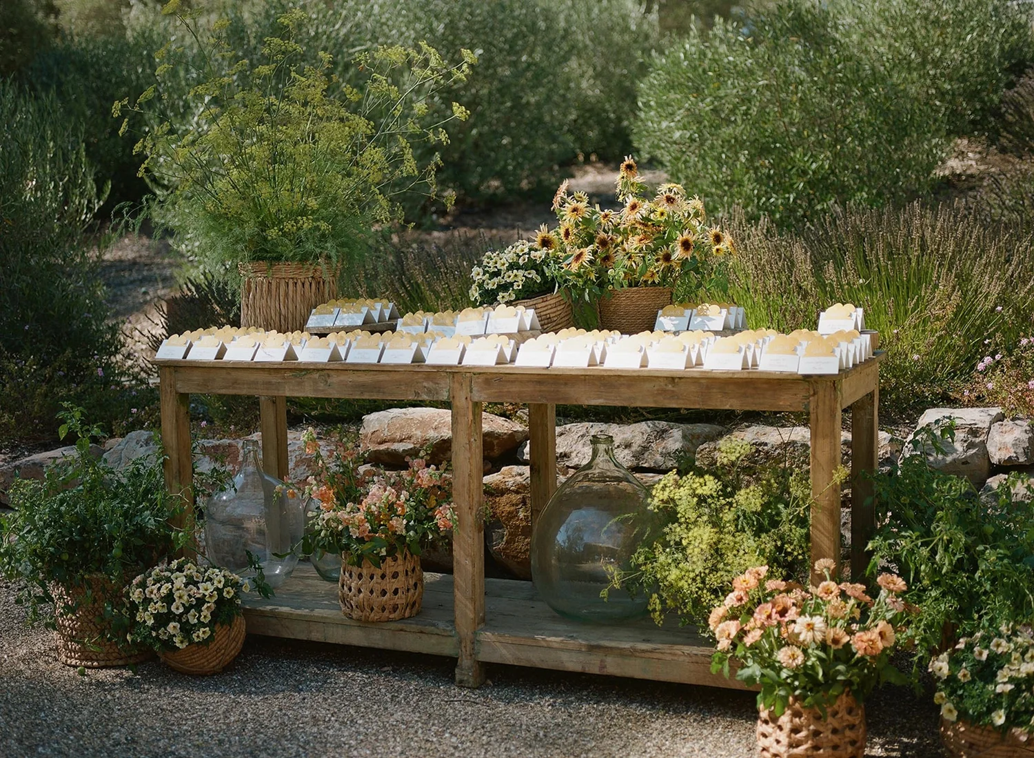 Summer in St. Helena — Loop Flowers