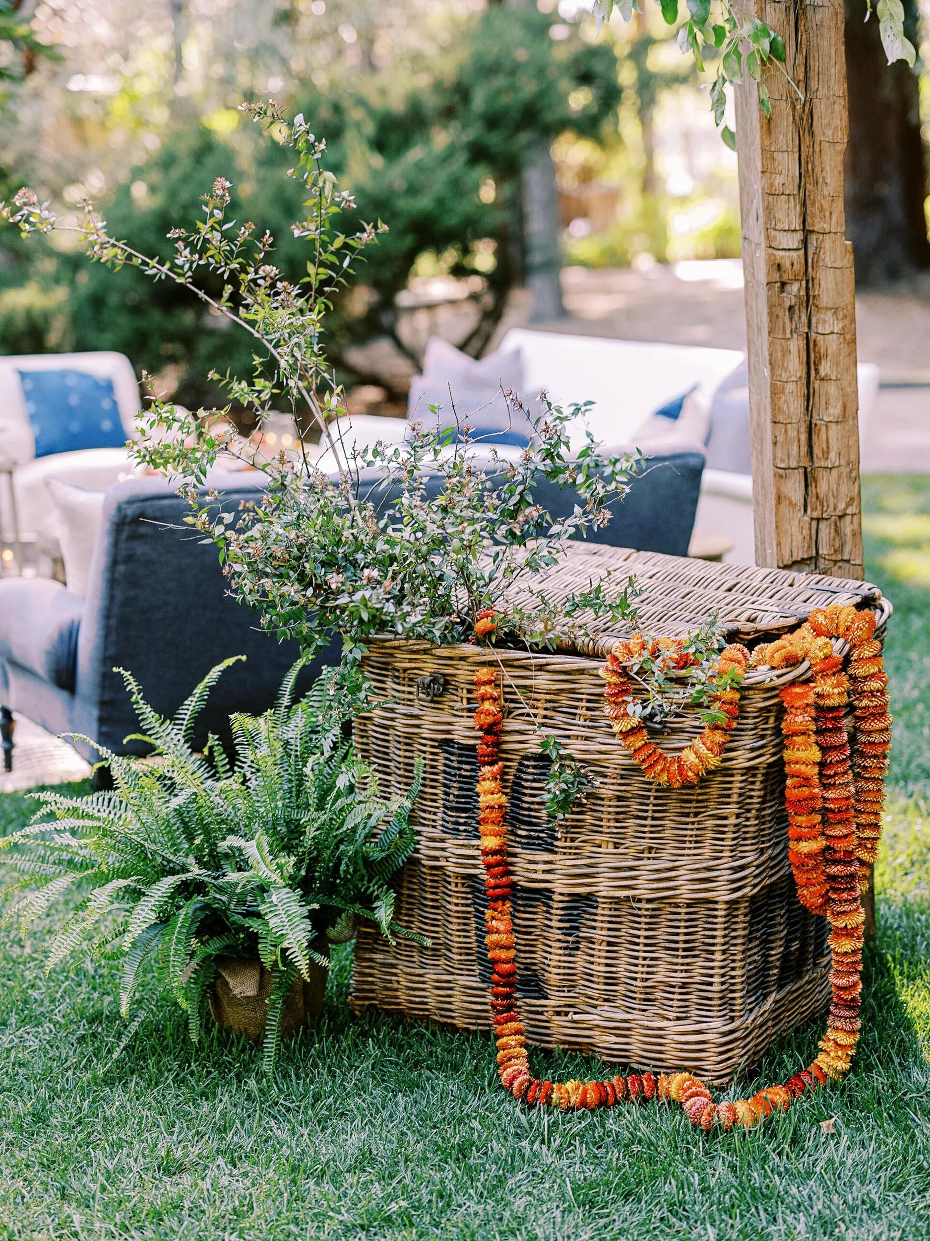 Napa Summer Sangeet — Loop Flowers