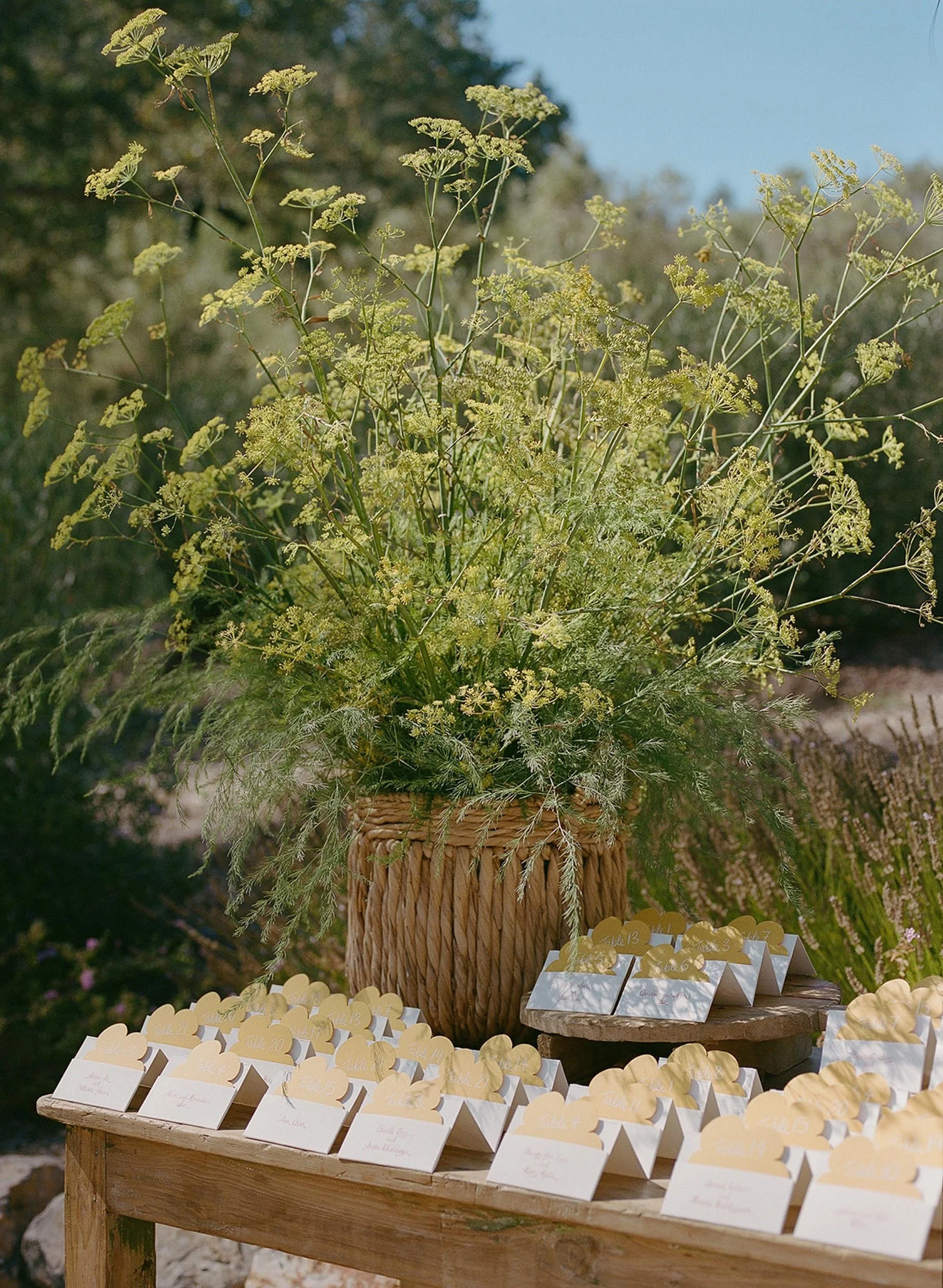 Summer in St. Helena — Loop Flowers
