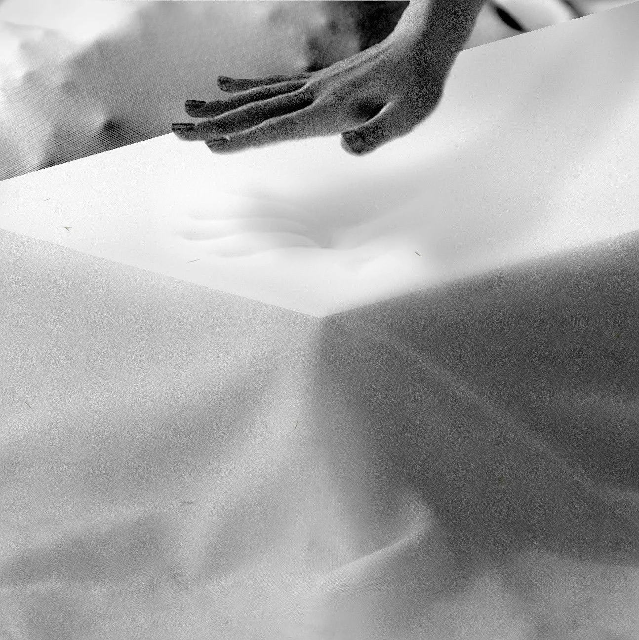 Selected Work — Abigail Chang