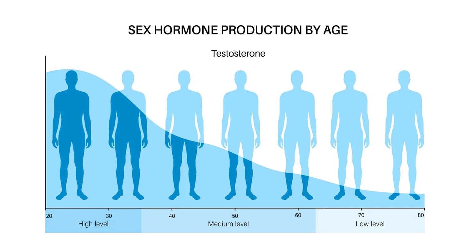 Testosterone Levels By Age - MIMIT Health