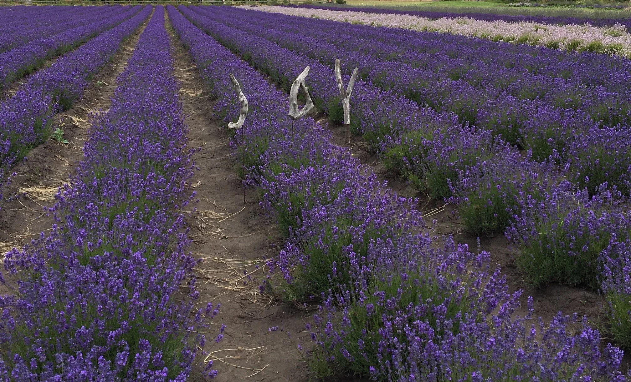 General 1 — Leadership Whidbey