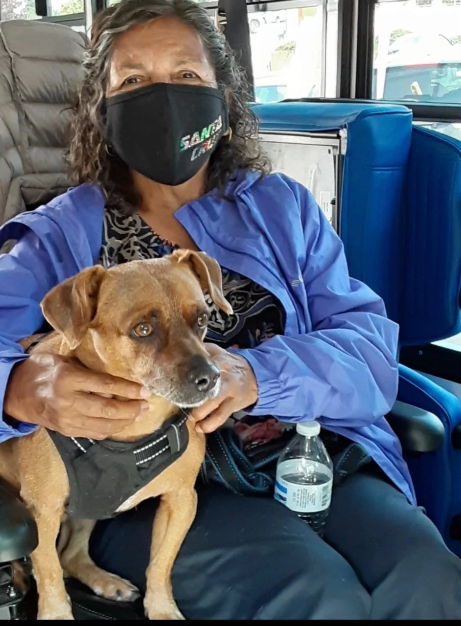 Our Stories — Miracle Messages