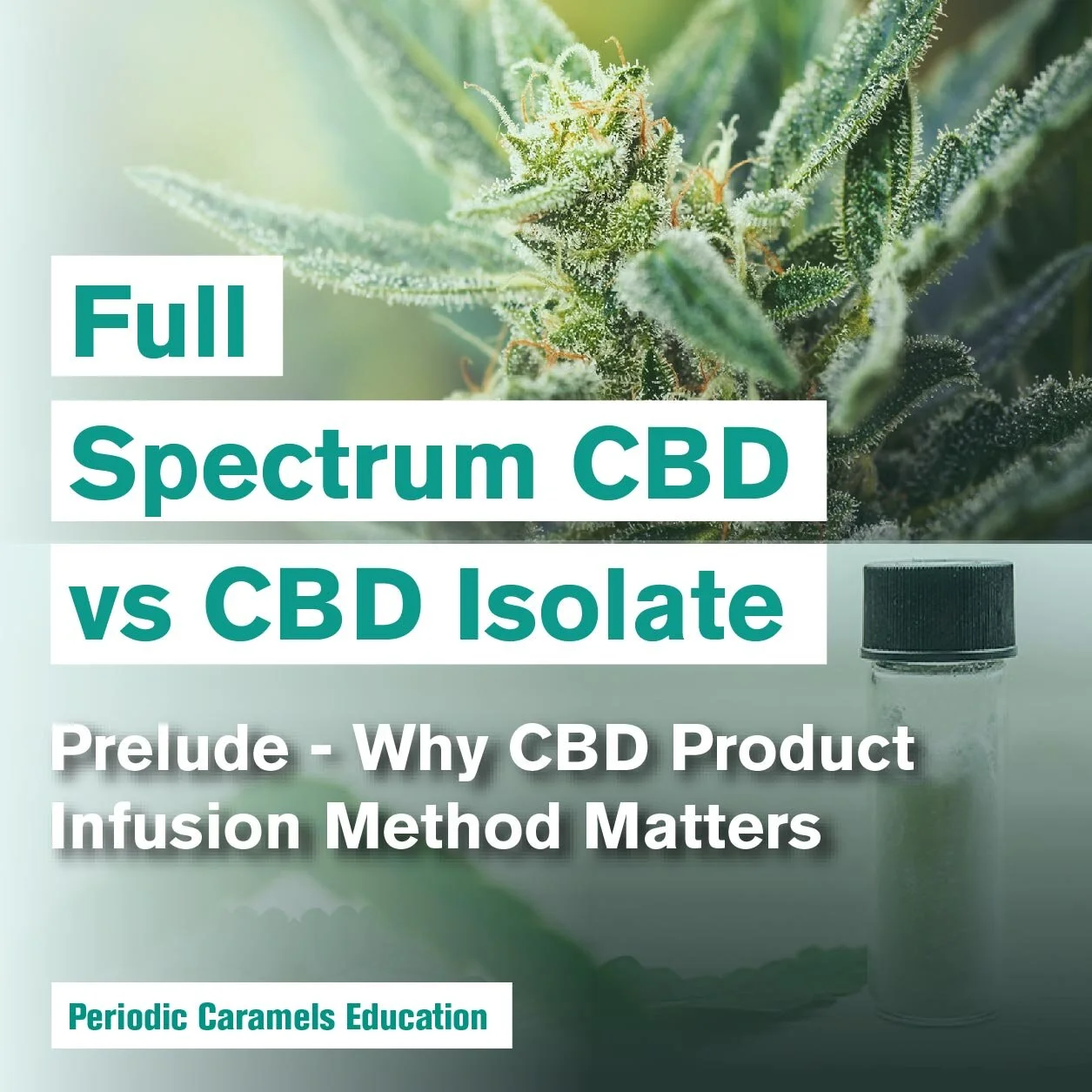 CBD Isolate vs Full-Spectrum - What do They Mean to You? — Periodic Caramels