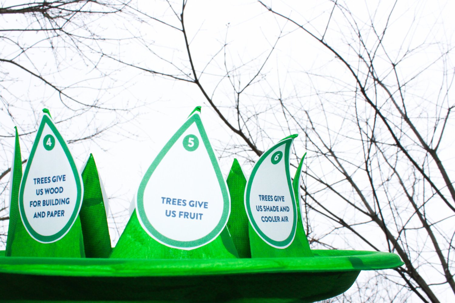 BIRTHDAY OF THE TREES PARTY CROWN — Make It Jewish