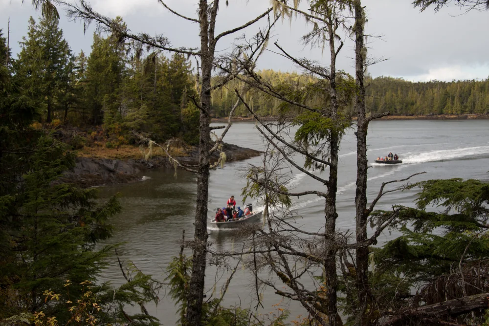 Lelu Island Totem Pole Raising — GLORIA DICKIE