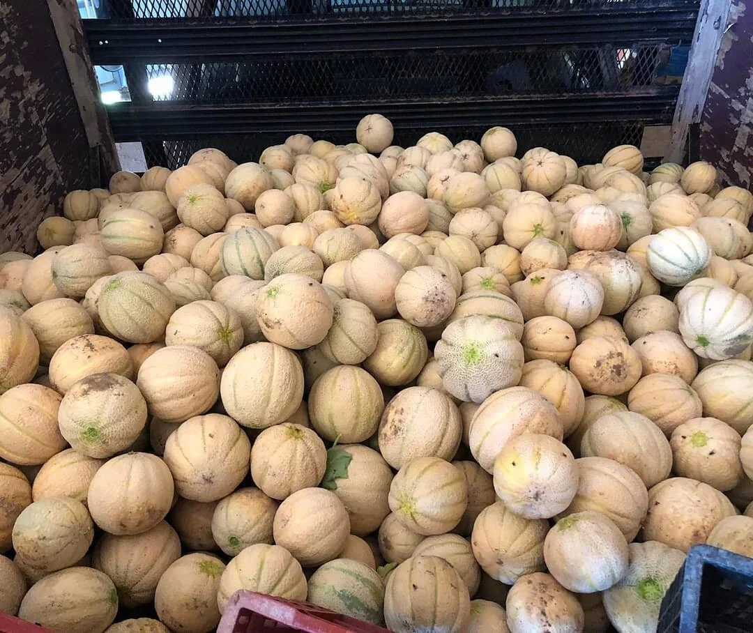 Distribution Centers — Monroe Family Farms LLC
