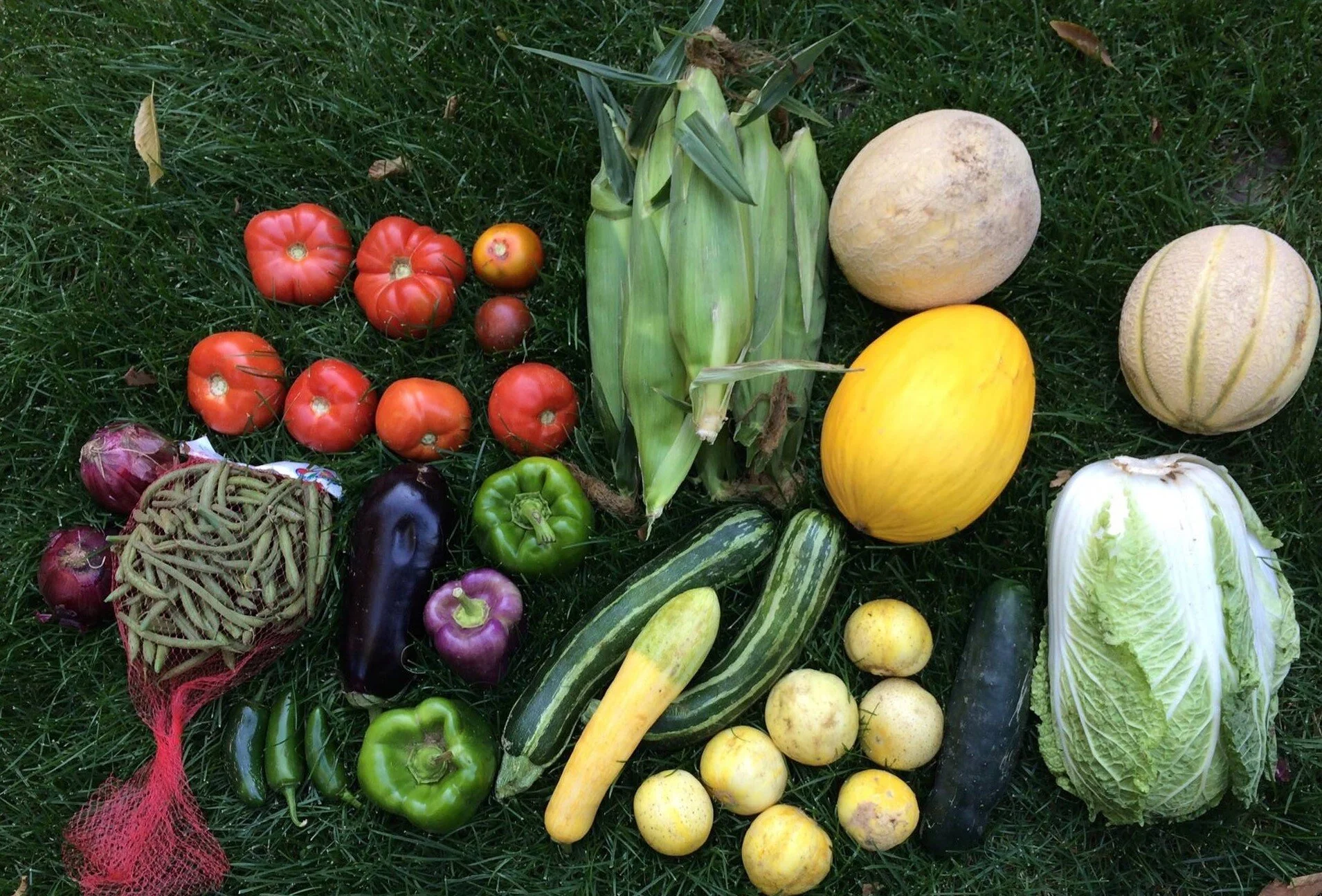 Monroe Family Farms LLC | Summer Shares | Colorado CSA — Monroe Family ...