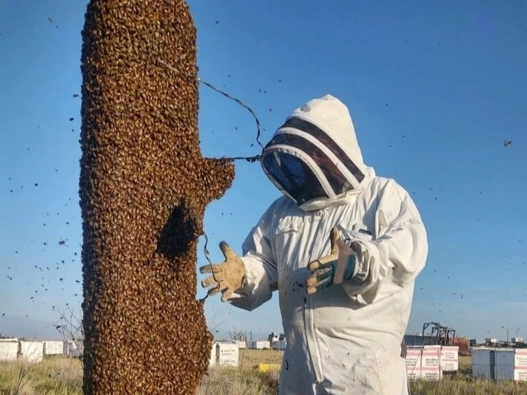 Monroe Organic Farms LLC | CSA Add-Ons | Colorado CSA — Monroe Organic ...