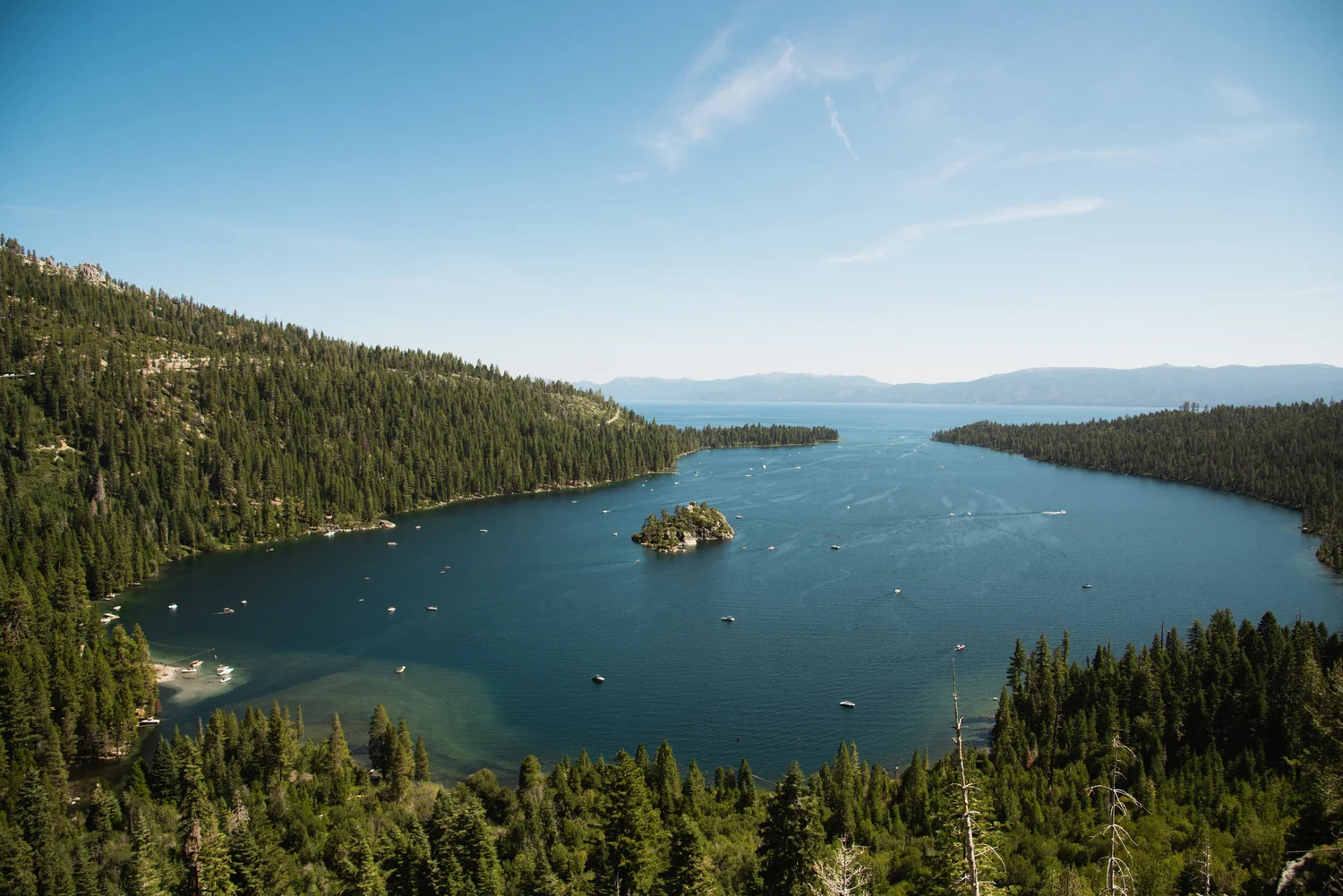 Tahoe Green