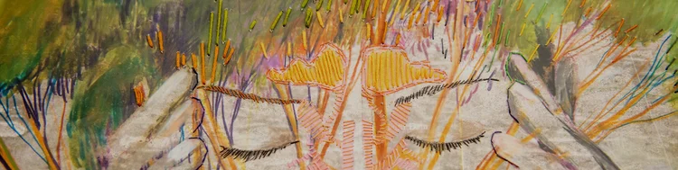 Artists - Laura Wills | Solastalgia Arts