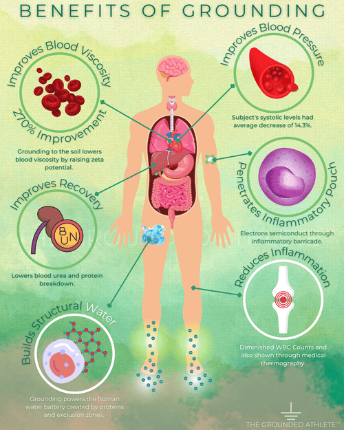 About — THE GROUNDED ATHLETE, LLC