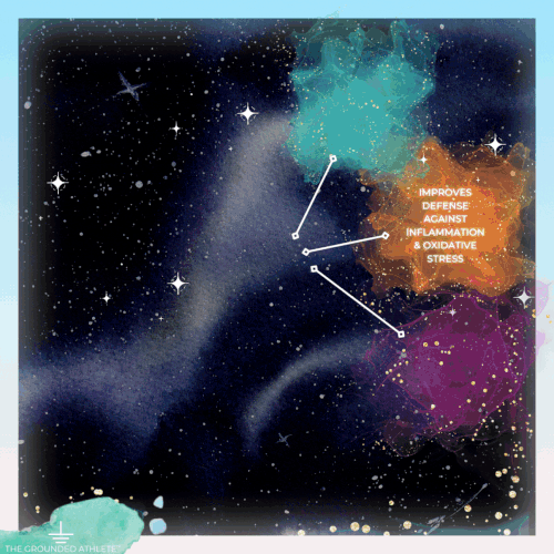 Research — THE GROUNDED ATHLETE, LLC