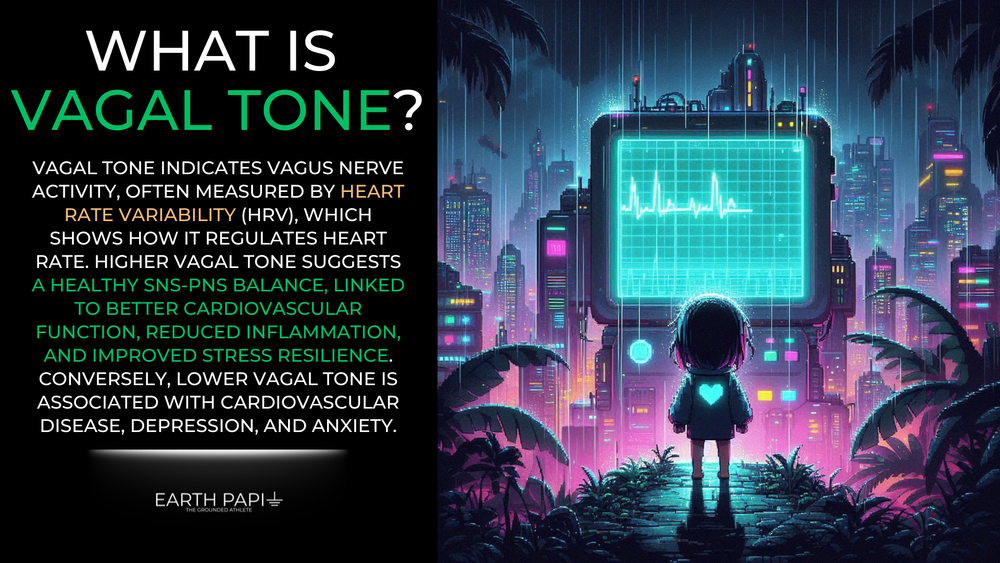 Earth & Mind Series, Part 1: The Nervous System and Vagal Tone — THE ...