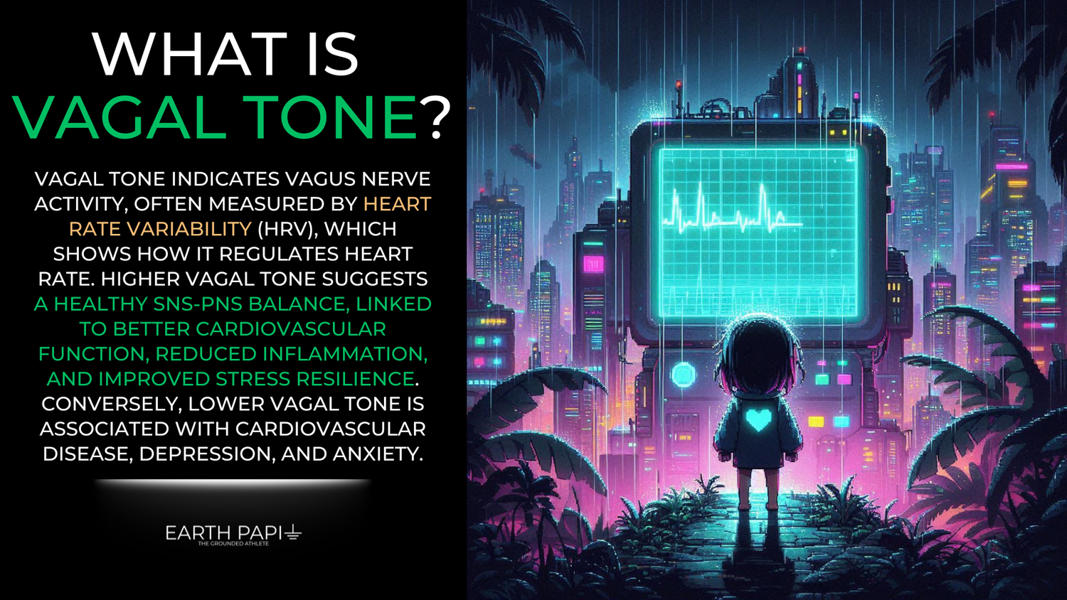 Earth & Mind Series, Part 1: The Nervous System and Vagal Tone — THE ...