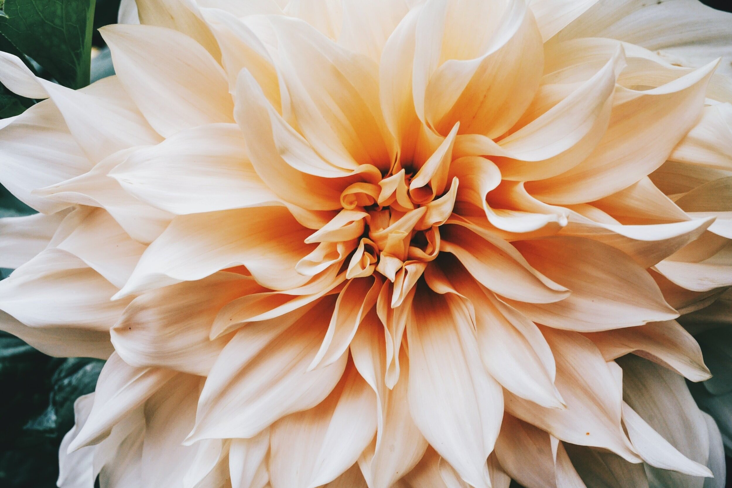 michele conklin therapy