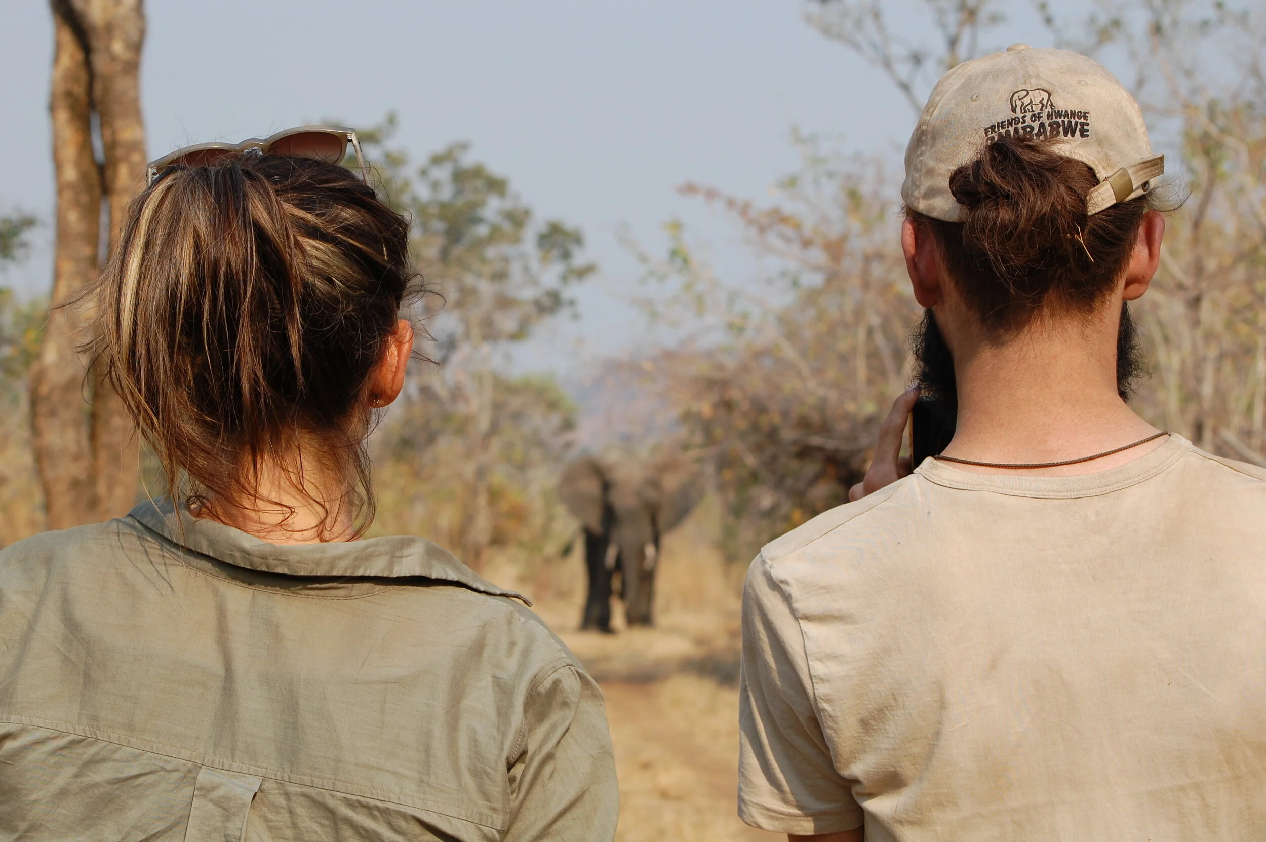 Volunteer — Wildlife Action Group