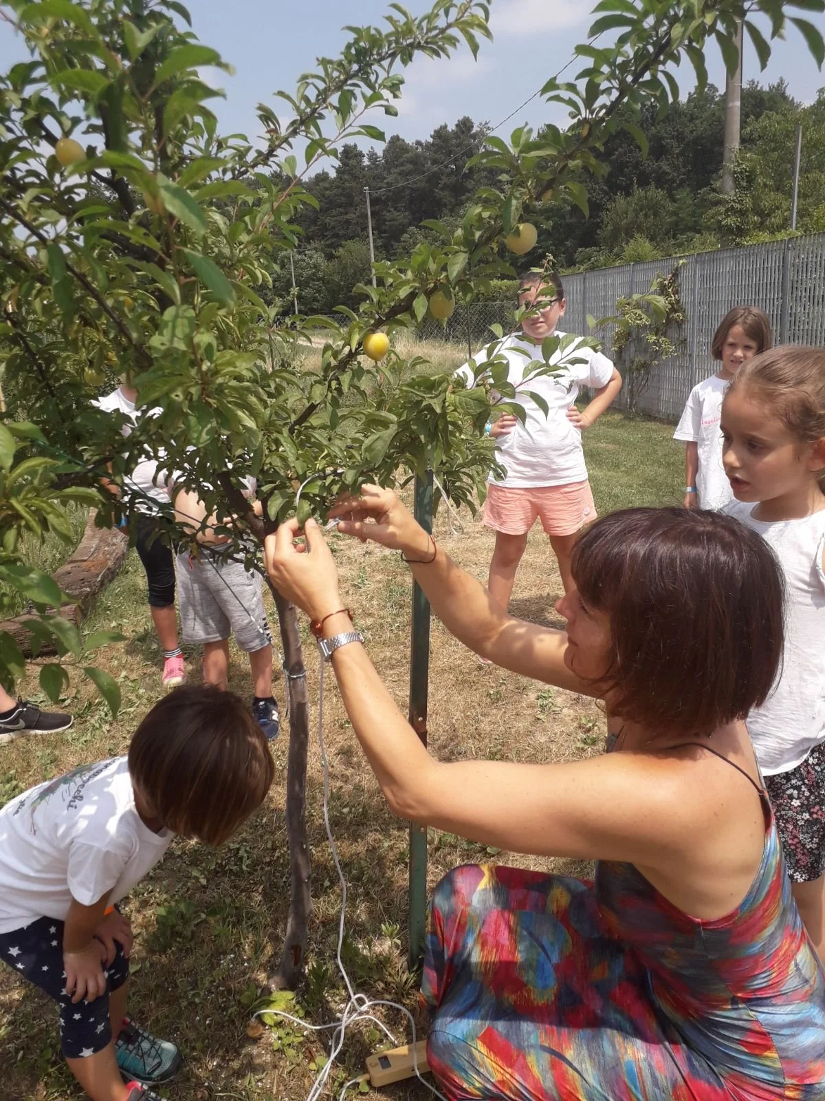 Education Programs — Voice and Plantmusic