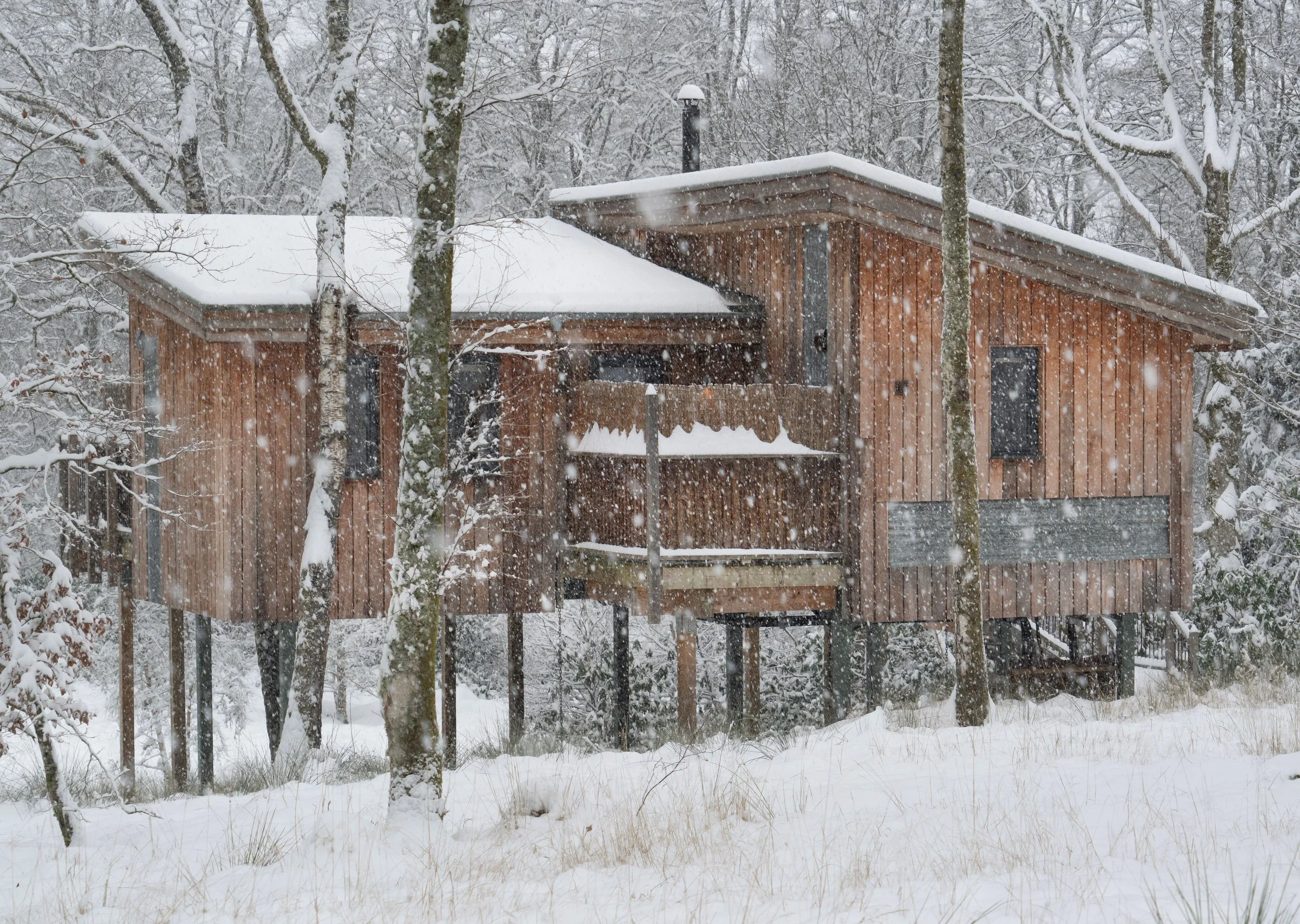 Treehouses Scotland - Luxury Treehouses at Lanrick