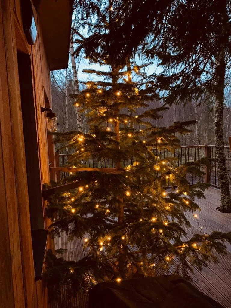 Treehouses Scotland - Luxury Treehouses at Lanrick