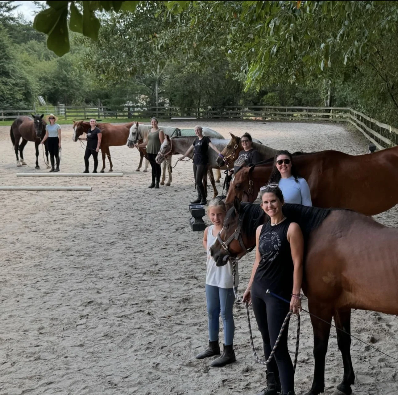 Horse Riding Lessons — Bramblewood Stables