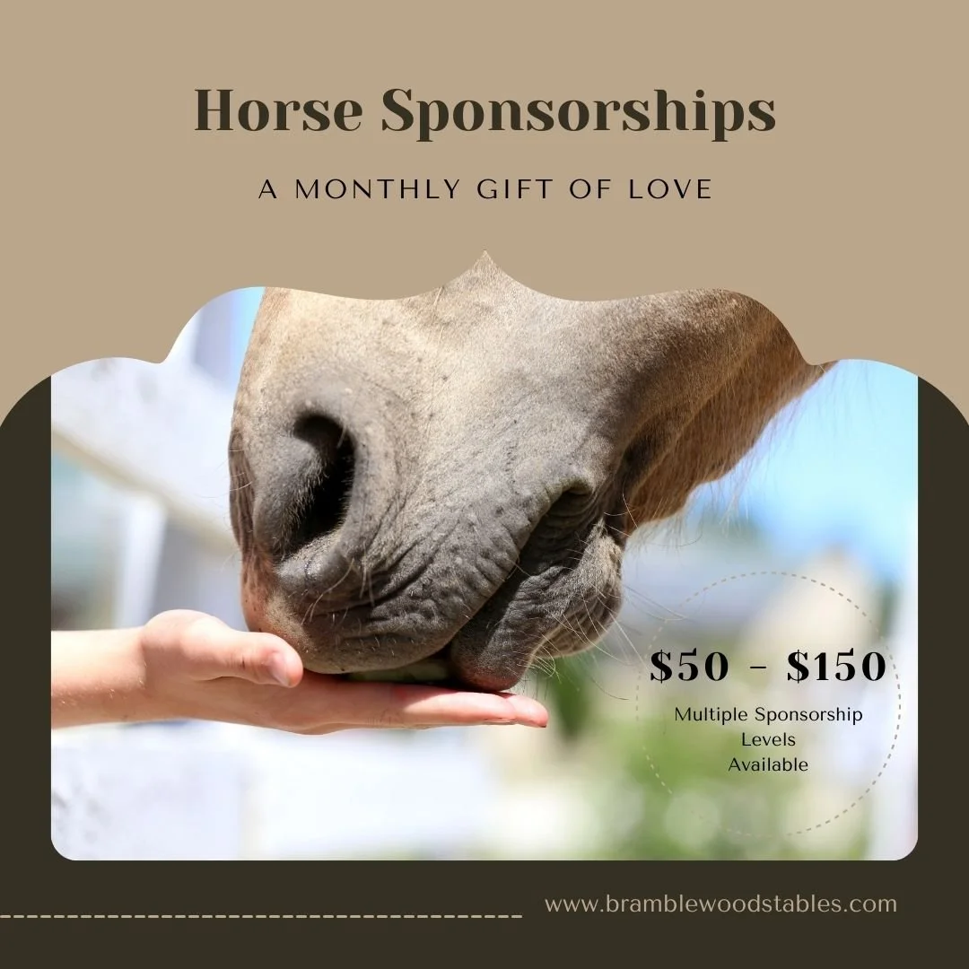 Sponsor a Horse — Bramblewood Stables