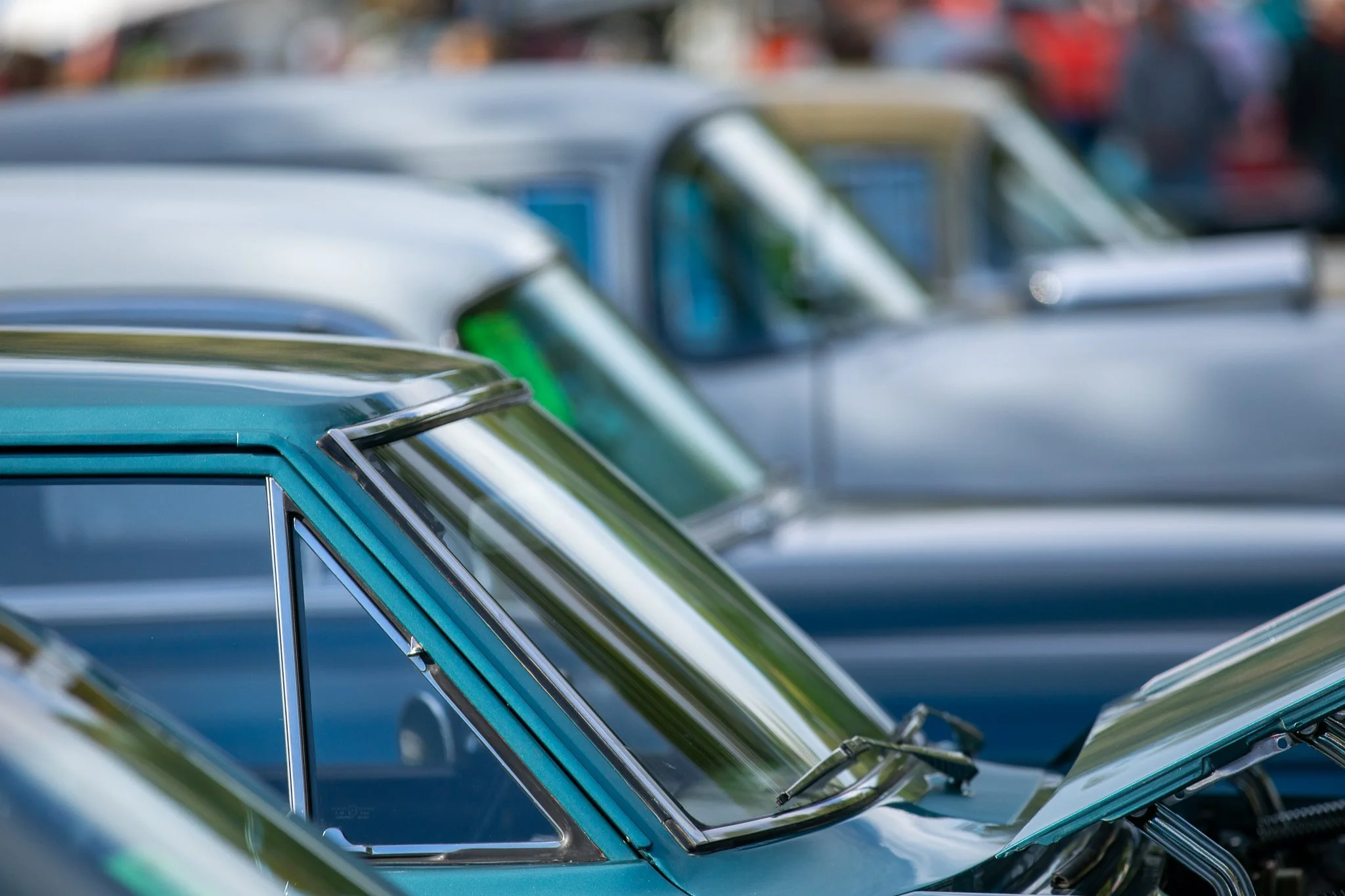 Gallery 3 — Ducktail Run