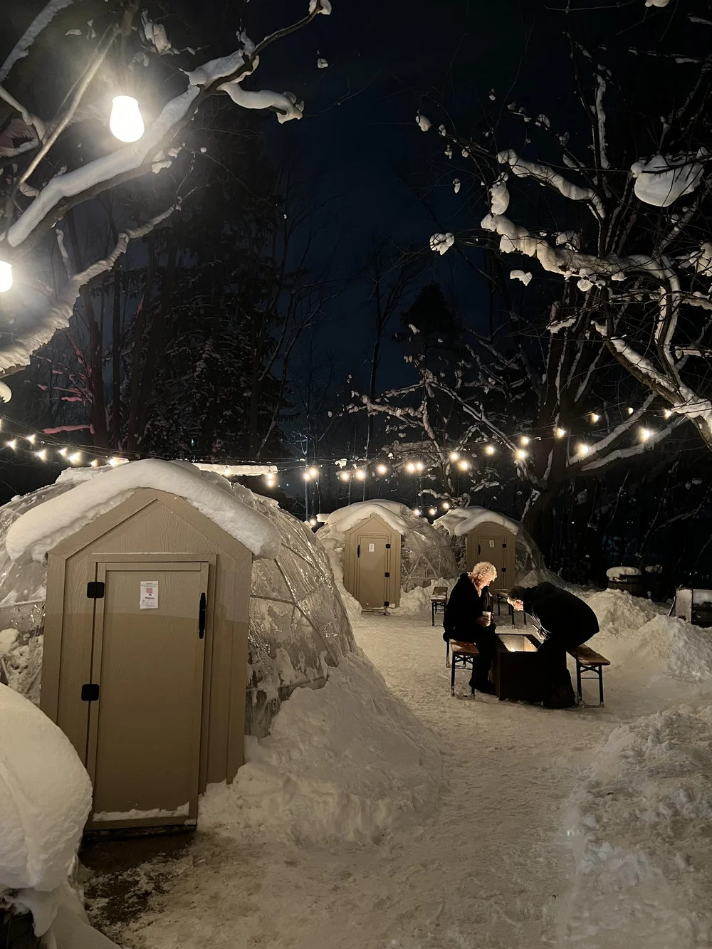 Winter Igloos — Farmhaus Cider