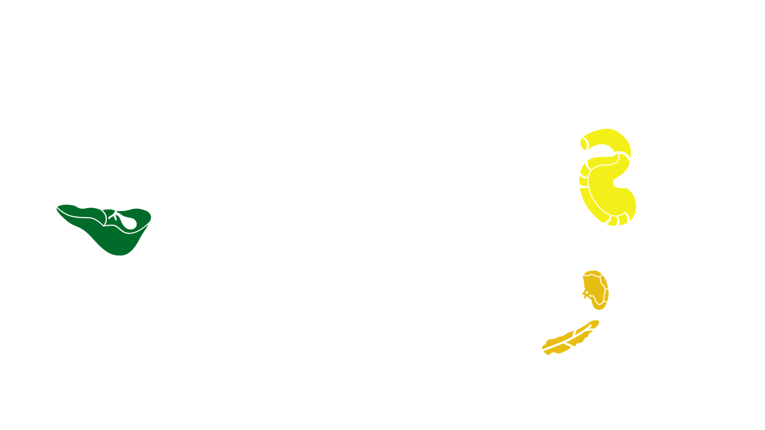 Digestive System Animation Gif