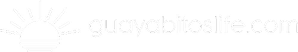 Visitor Maps — Barber Media