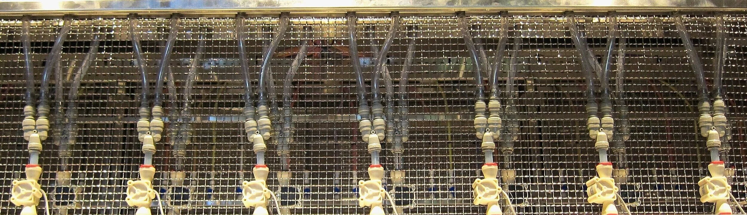 Inline beer flow meter - tolfking