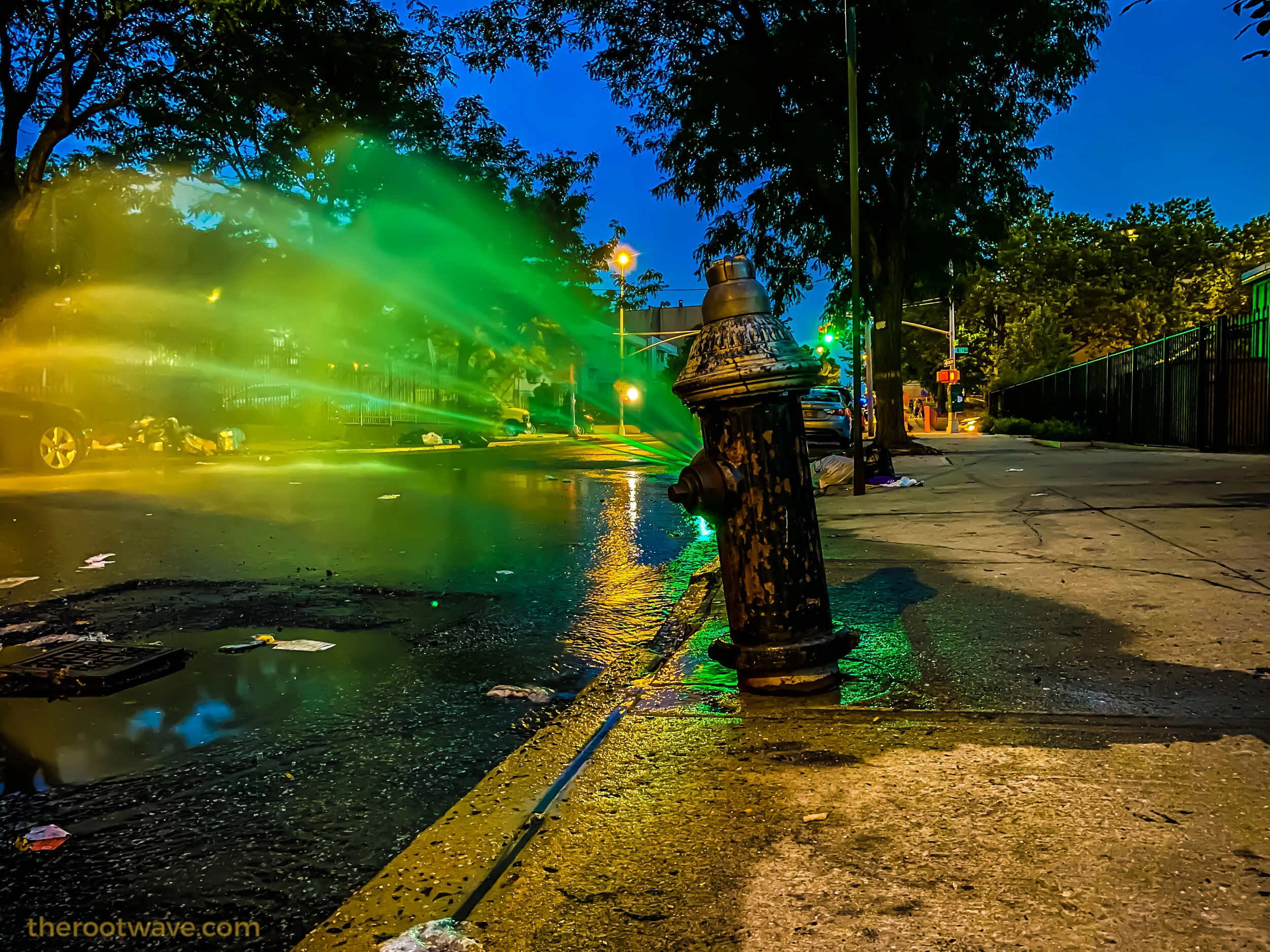 The Root Wave | Get Started with Confidence