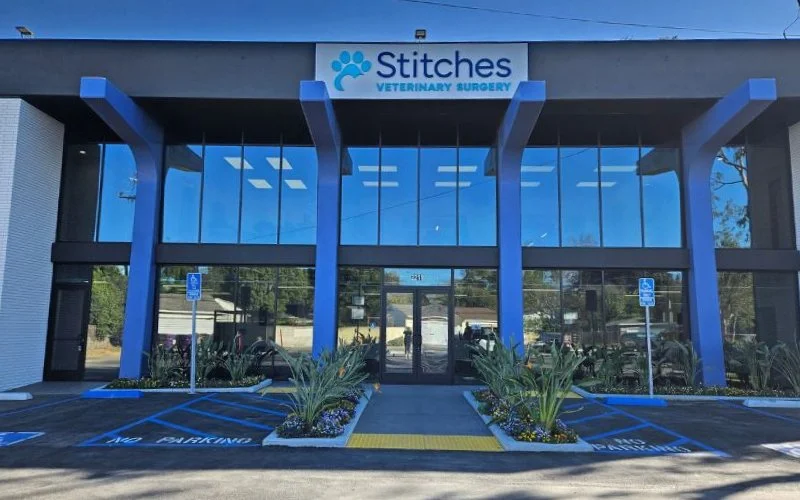 Stitches Veterinary Surgery: Long Beach’s First Veterinary Specialty ...