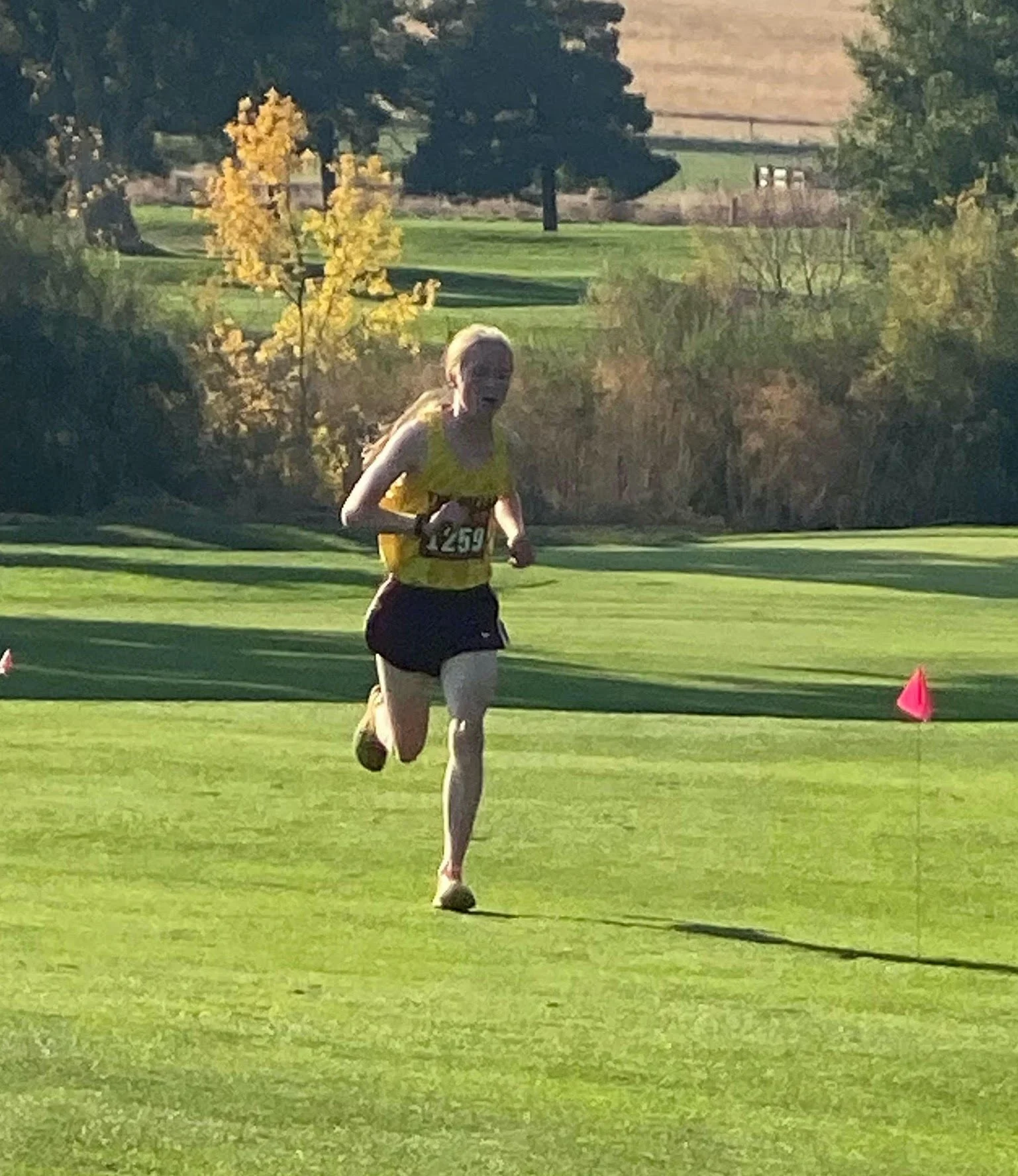 TD Cross Country fired up for districts after Pendleton Meet — Columbia ...
