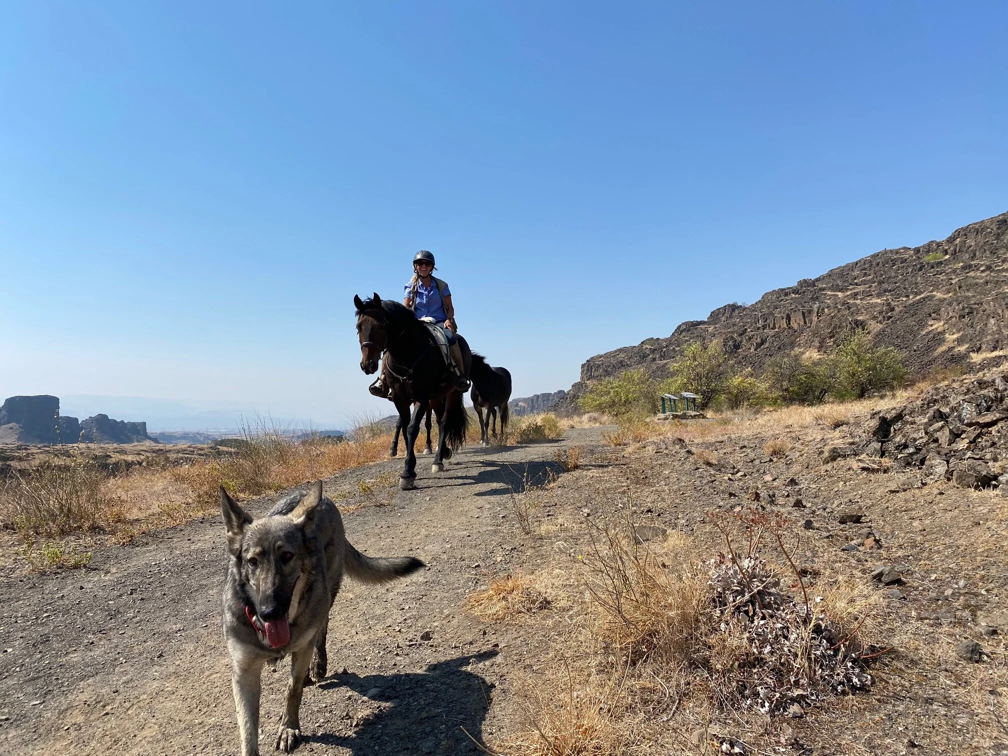 Firefighters pulled out of Estacada- fire too dangerous to fight ...