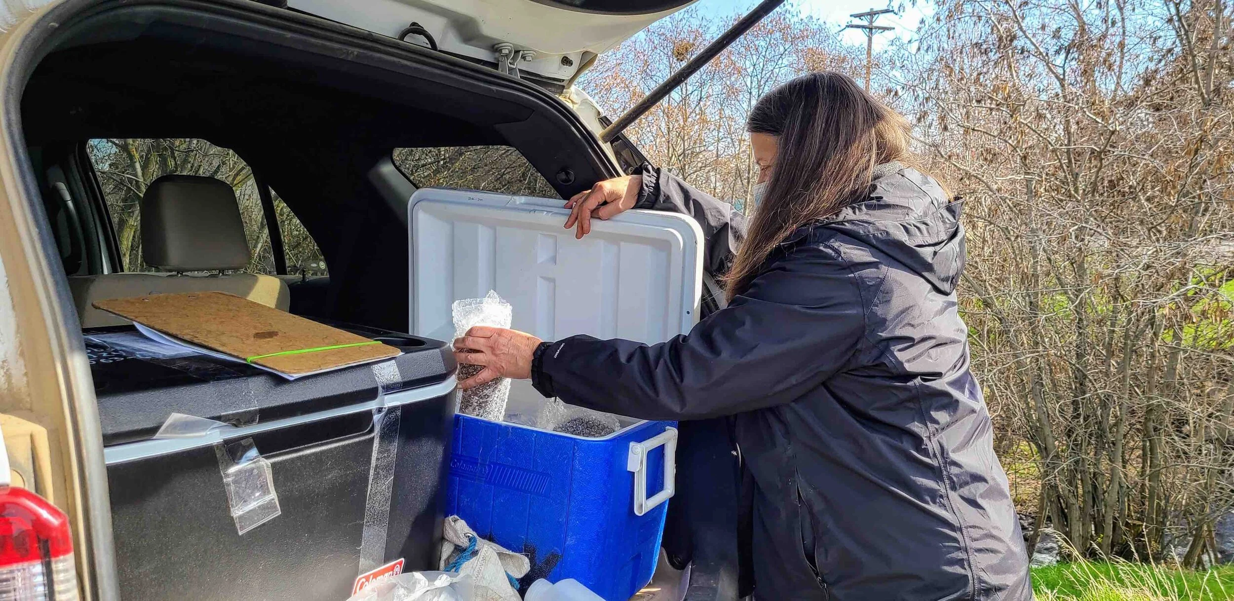 PSP Reports Pesticides in Wasco Watersheds Are At Lowest Ever ...