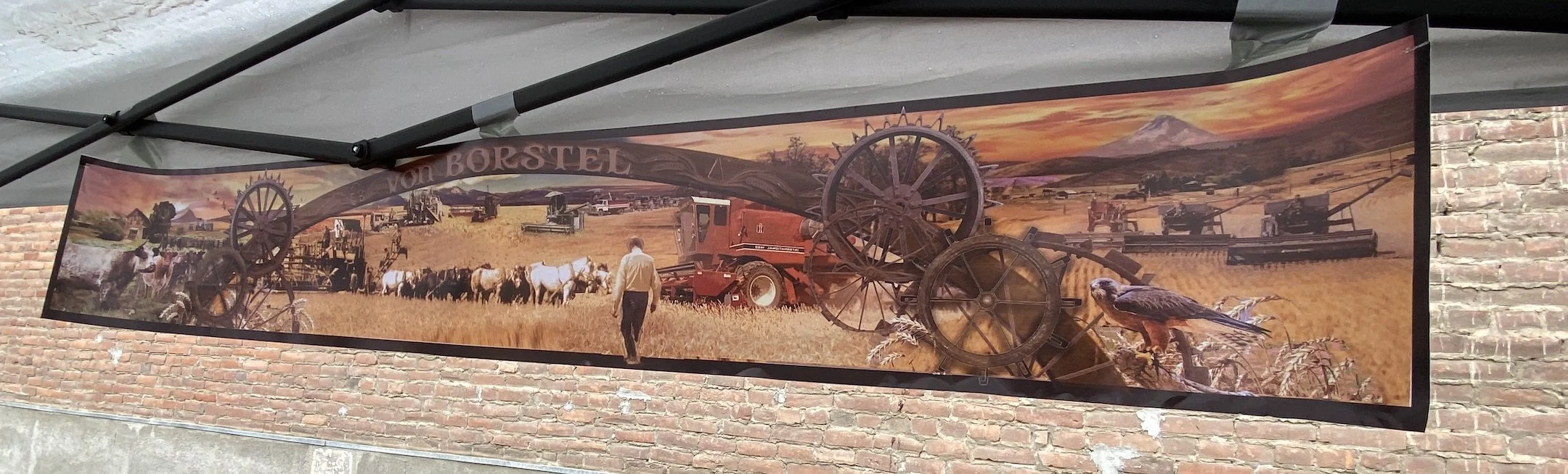 Little Art City strikes again: von Borstel mural dives deep into ...