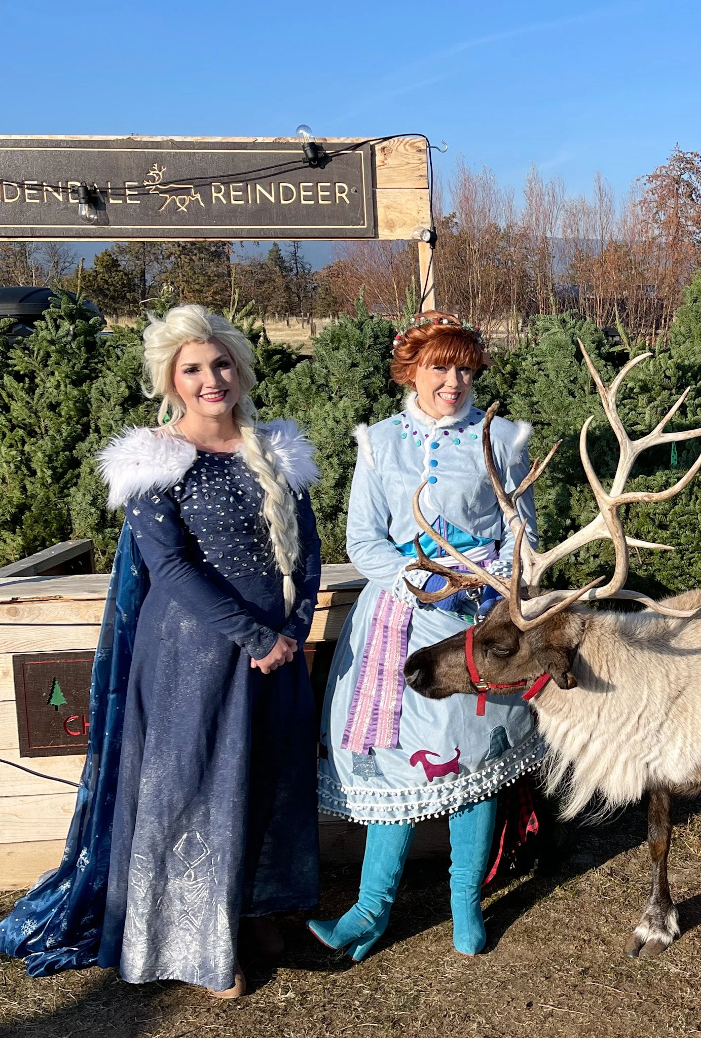 Snow Sisters usher in Holiday Magic with help of GD Reindeer — Columbia ...